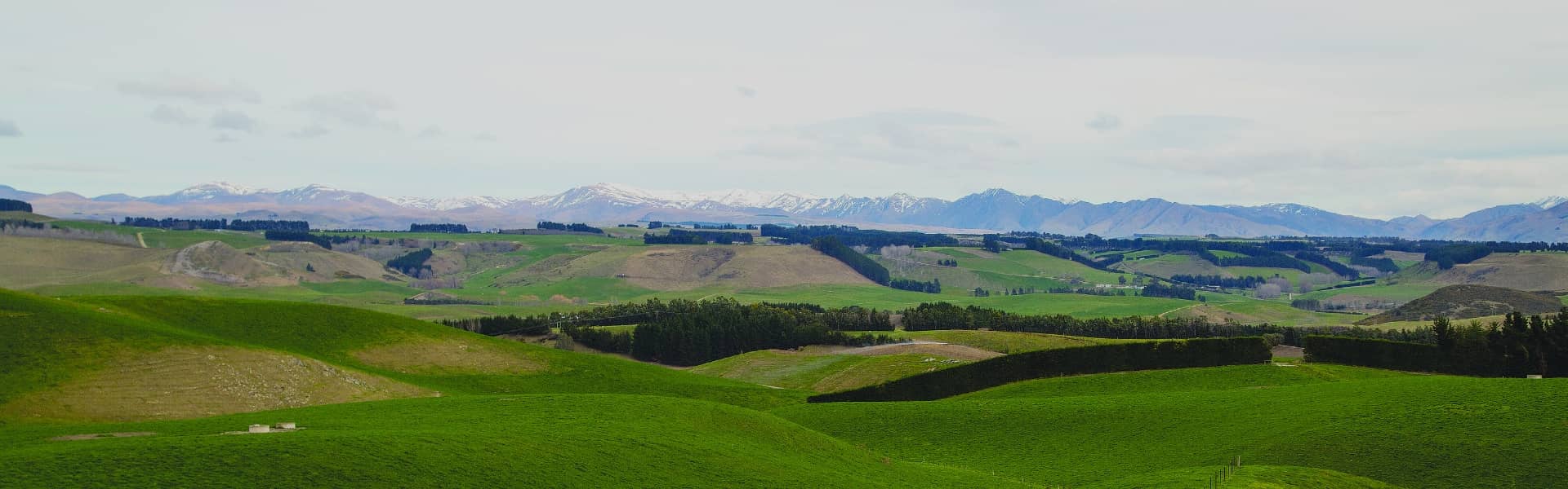 Opportunities » Aqus Ltd