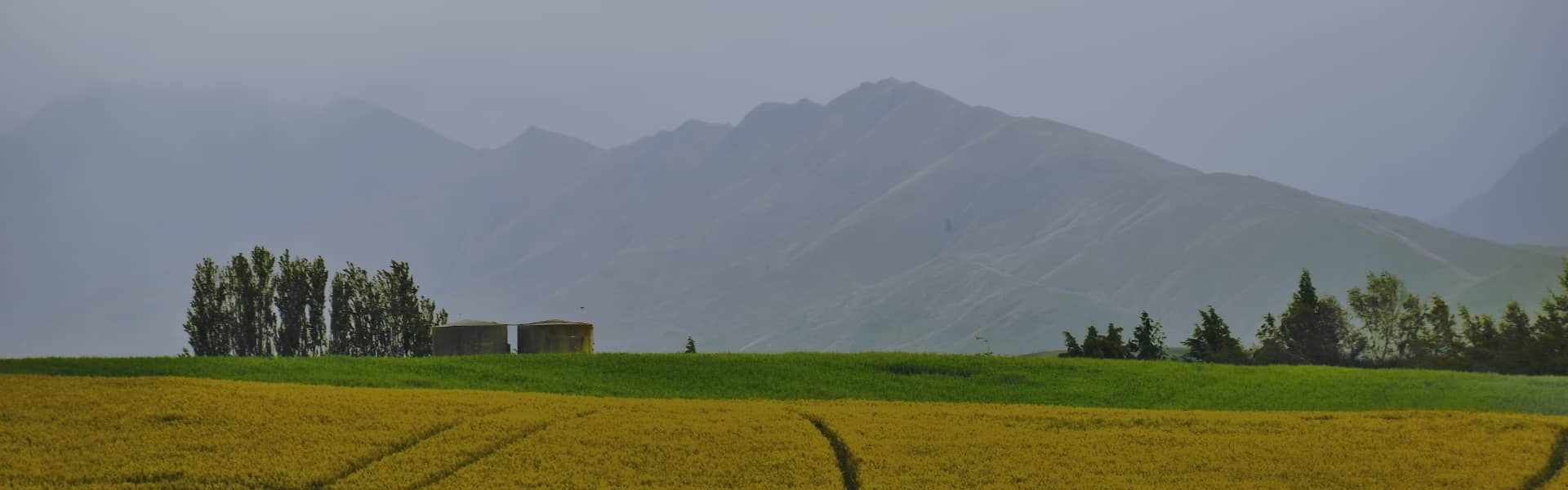 Our Role » Aqus Ltd